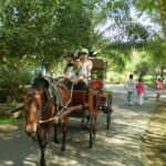 Private Mekong Delta (My Tho - Ben Tre) Full Day by Air-conditioned Car - Transportation and Value