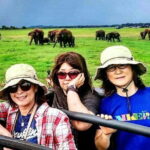 Private Minneriya National Park Safari and Fireflies Lighting Tour - Why This Tour Offers Real Value