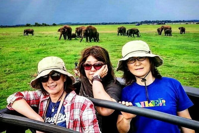 Private Minneriya National Park Safari and Fireflies Lighting Tour - Why This Tour Offers Real Value