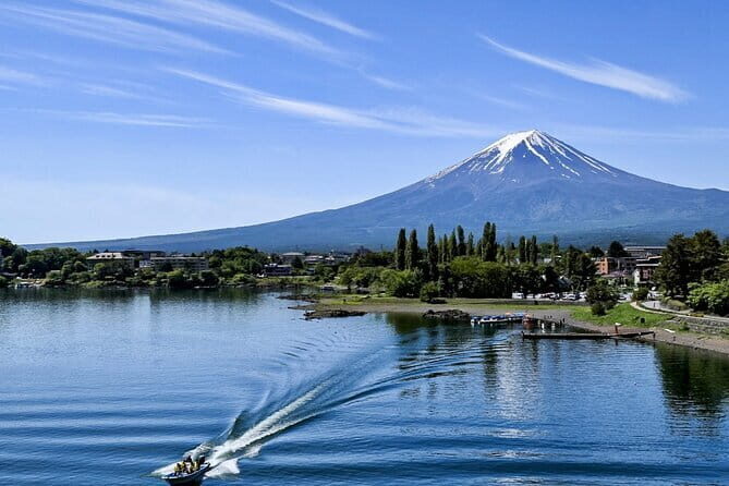 Private Mount Fuji Day Trip from Tokyo by Car - Who Should Consider This Tour?