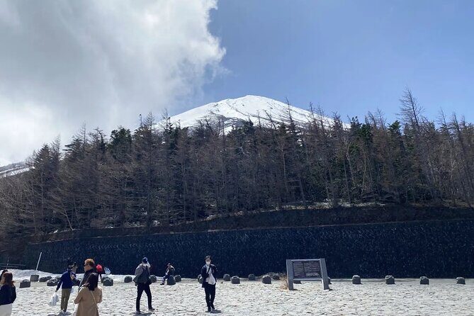 Private Mt Fuji and Hakone Day Tour from Tokyo - The Breakdown of the Itinerary: What’s Truly Special?