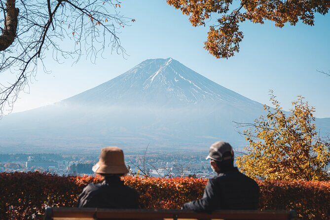 Private Mt Fuji, Hakone and Tokyo Tour - English Speaking Driver - An In-Depth Look at the Itinerary