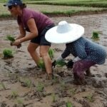 Private Multiday Tour in Minangkabau with accommodation 4 days - Final Thoughts