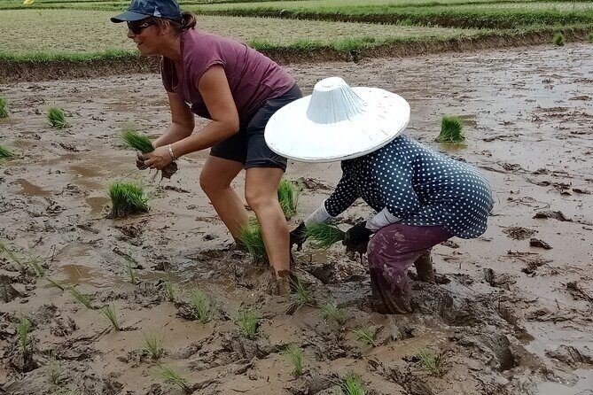 Private Multiday Tour in Minangkabau with accommodation 4 days - Final Thoughts