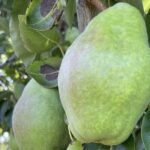 Private Multnomah Falls, Train Ride, & Wine Tour - What We Love About This Tour