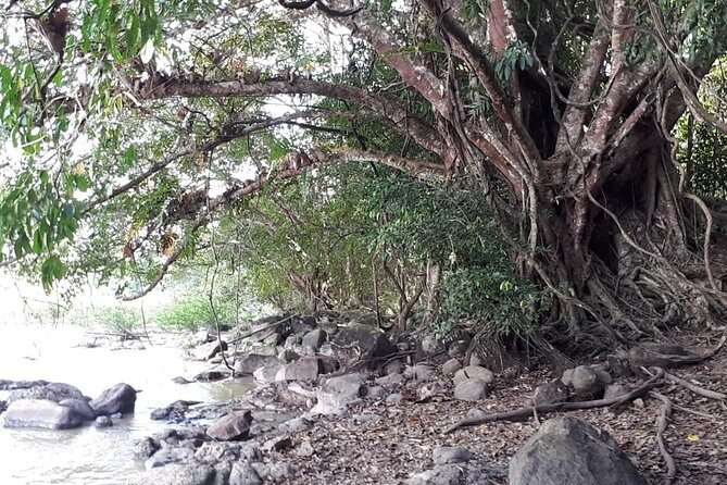 Private Nam Cat Tien National Park 2 Days 1 Night - The Experience on the Ground: What You Can Expect