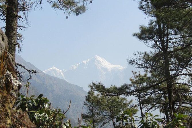 Private Namo Buddha Full-Day Tour from Kathmandu - The Experience’s Strengths