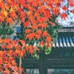 Private Nanjing Layover Tour to Qixia Mountain - Discovering Qixia Temple