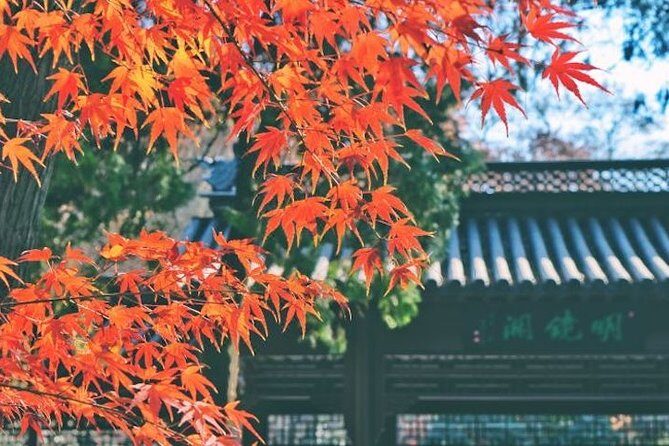 Private Nanjing Layover Tour to Qixia Mountain - Discovering Qixia Temple