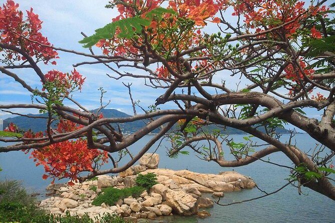 Private Nha Trang Dalat tour in one day include lunch( 12hours) - Influences from Genuine Traveller Feedback