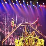 Private Nightlife Trip to See Wonderful Acrobatic Show Enjoy Delicious Barbecue Buffet Dinner - What to Expect at the Tiandi Theatre