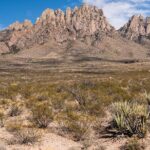 Private NM Taxi Service- Statewide - An In-Depth Look at the Private NM Taxi Service