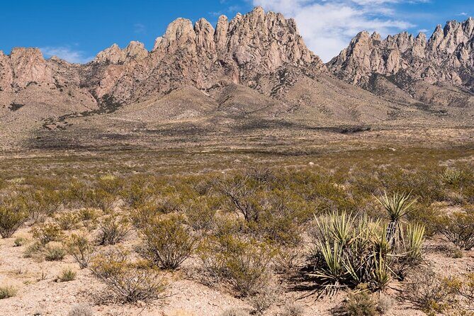 Private NM Taxi Service- Statewide - An In-Depth Look at the Private NM Taxi Service