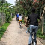 Private Non-Touristy Mekong Delta Tour with Biking Experience - How This Tour Compares in Value