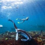 PRIVATE Nusa Penida on Boat Snorkeling & Island Tour (INCLUSIVE) - Reading Between the Lines: The Practical Side