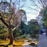 Private Old Temples Guided Tour in Kamakura - Practical Details and What to Expect