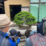 Private Omiya Bonsai Village Tour with Licensed Guide - Key Points to Remember
