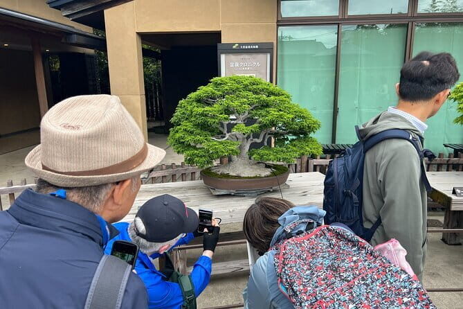 Private Omiya Bonsai Village Tour with Licensed Guide - Key Points to Remember