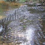 Private One Day Exploration at Thousands of Linga, Kbal Spean and Lady Temple - Practical Details & What to Expect