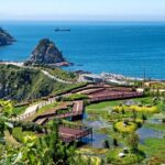 Private One Day Tour of Busan - Personalization and Flexibility