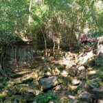 Private One Day Trip-Pyramid Temple Koh Ker and Beng Mealea - The Journey Begins: What to Expect