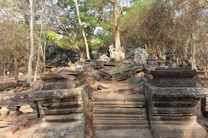 Private One Day Trip to Beng Mealea and Kompong Phluk Floating Village - Exploring Beng Mealea: The Jungle Temple