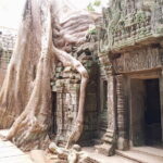 Private One Day Trip with Sunrise at Angkor Wat, Angkor Thom and Tomb Raider - Who Will Love This Tour?