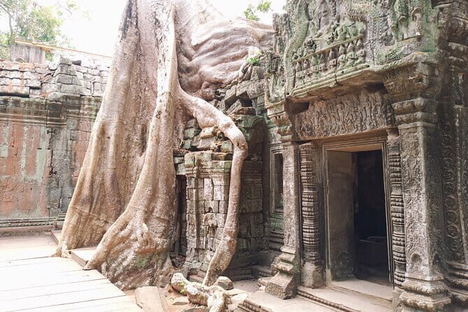 Private One Day Trip with Sunrise at Angkor Wat, Angkor Thom and Tomb Raider - Who Will Love This Tour?