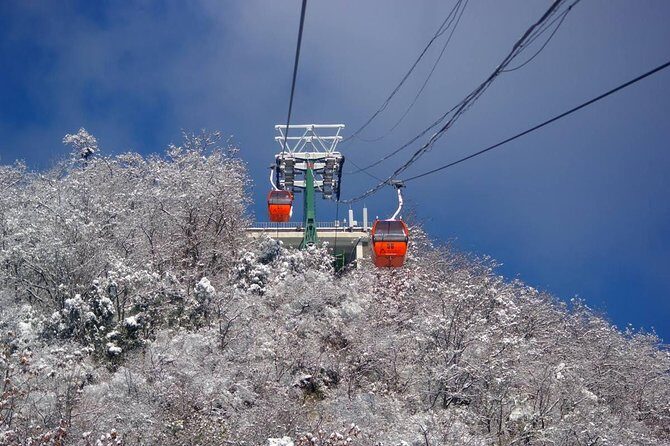 Private One Way Tianjin Port Transfer to Beijing including Great Wall Sightseeing - A Practical Guide to Your Journey from Tianjin Port to the Great Wall and Beijing