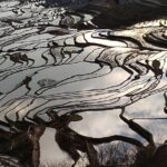 Private Overnight Tour to Yuanyang Rice Terraces from Kunming - Detailed Breakdown of the Itinerary