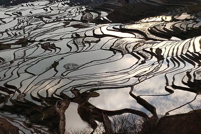 Private Overnight Tour to Yuanyang Rice Terraces from Kunming - Detailed Breakdown of the Itinerary