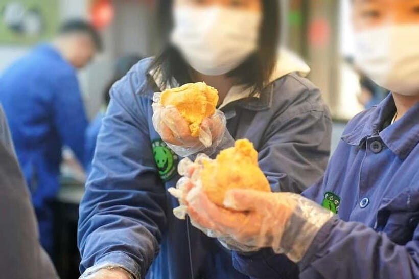 Private Panda Volunteering & Learning Tour | Wolong Base - FAQ