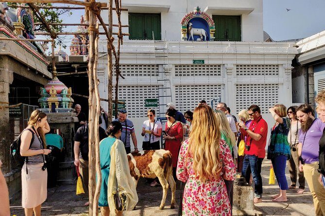 Private Peacock Trail Walking Tour in Mylapore - Strolling Through Mylapore