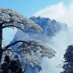 Private Photography Day Tour of Huangshan Yellow Mountain - Why Choose the Private Photography Tour of Huangshan?