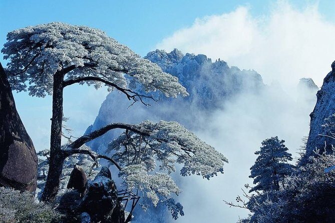 Private Photography Day Tour of Huangshan Yellow Mountain - Why Choose the Private Photography Tour of Huangshan?
