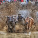 Private Photography Trip 3 Days 2 Nights With Accommodation - Day 3: Cultural Performances and Local Crafts