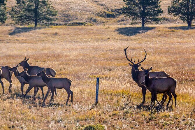 Private Pikes Peak Region Backcountry Full Day Adventure Tour - The Itinerary: A Closer Look at Each Stop