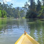 Private Puerto Princesa River Kayaking with Seaplane Transfer - Who Should Book This Tour?
