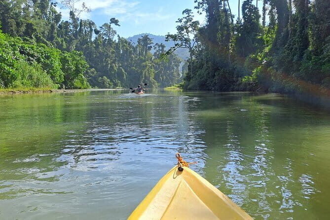 Private Puerto Princesa River Kayaking with Seaplane Transfer - Who Should Book This Tour?