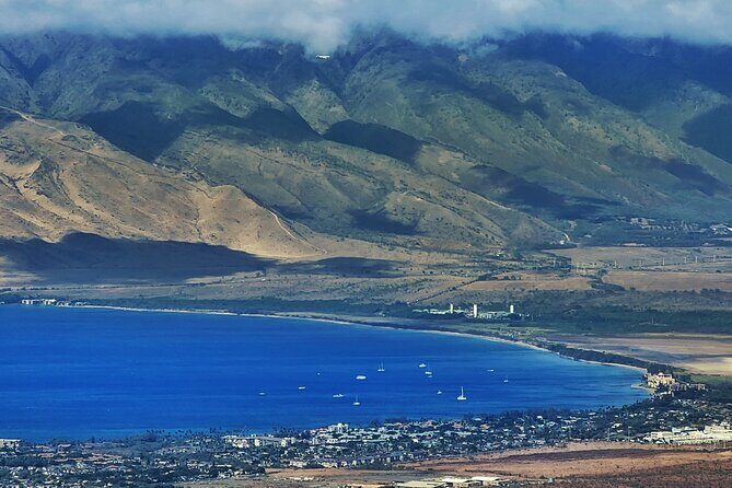 Private Redwood Forest Hiking Tour - Value for Money