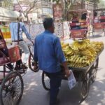 Private Rickshaw Tour of Old Delhi Heritage with Food Tasting - Who Will Love This Tour?