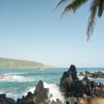 Private Road to Hana Rainforest & Waterfall Experience from Maui - The Experience in Practice