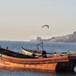 Private Round-Trip Transfer to Shanhaiguan Pass and Laolongtou from Beijing - In The Sum Up