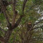 Private Rountrip Transfer to Marble Mountain - Monkey Mountain - Dragon Bridge - Who Will Enjoy This Tour?