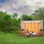 Private Safari Camping in Buttala - Who Is This Tour Best For?