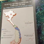 Private Saigon City Historical Tour - What sets this tour apart—and what to consider