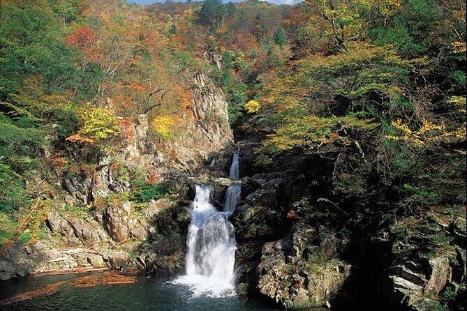 Private Sandankyo Valley Tour from Hiroshima with a Local Guide - The Value of the Experience