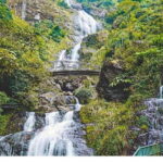 Private Sapa Motorbike Tour - Tea Hill - Final Thoughts: Is This Tour Right for You?