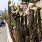 Private Scavenger Hunt in San Juan Capistrano Tour - Authentic Voices and Traveler Insights