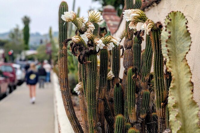 Private Scavenger Hunt in San Juan Capistrano Tour - Authentic Voices and Traveler Insights